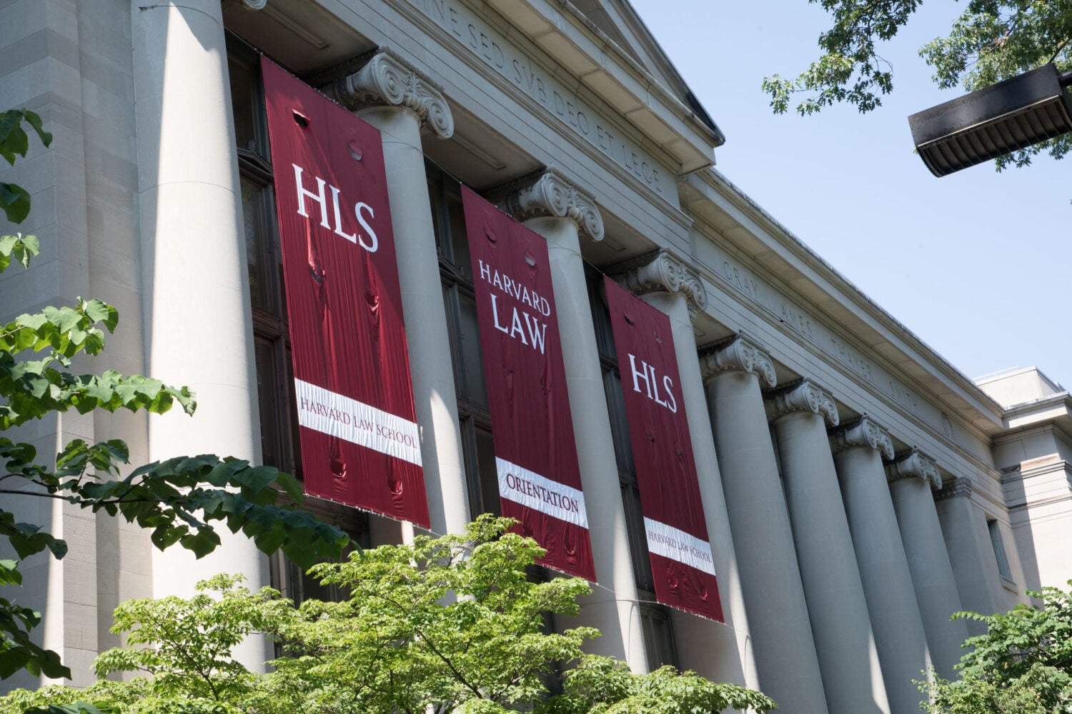 GALLERY: Welcome to HLS! - Harvard Law School | Harvard Law School