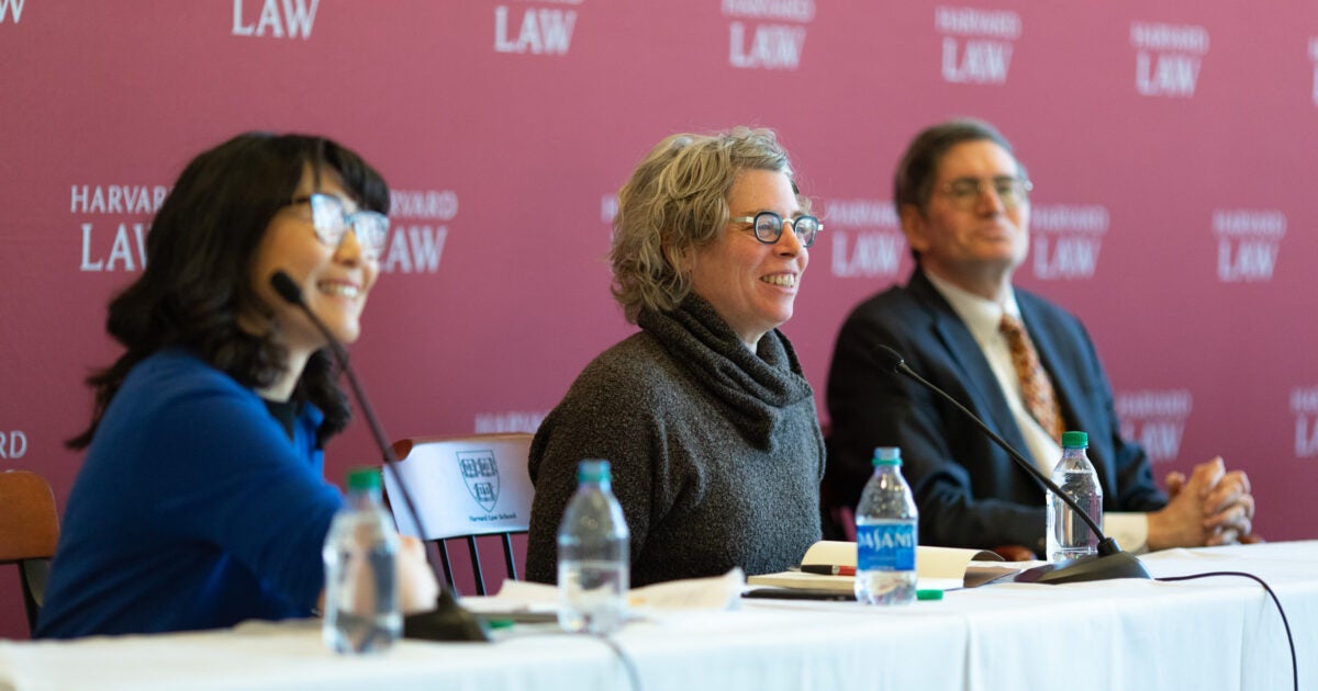 Experts trace the history of the Equal Rights Amendment - Harvard Law ...