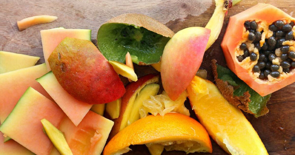 Food Law and Policy Clinic releases organic waste ban toolkit - Harvard ...