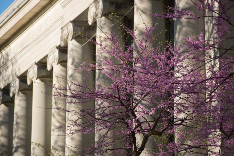 Executive Education Health and Safety Protocols - Harvard Law School ...