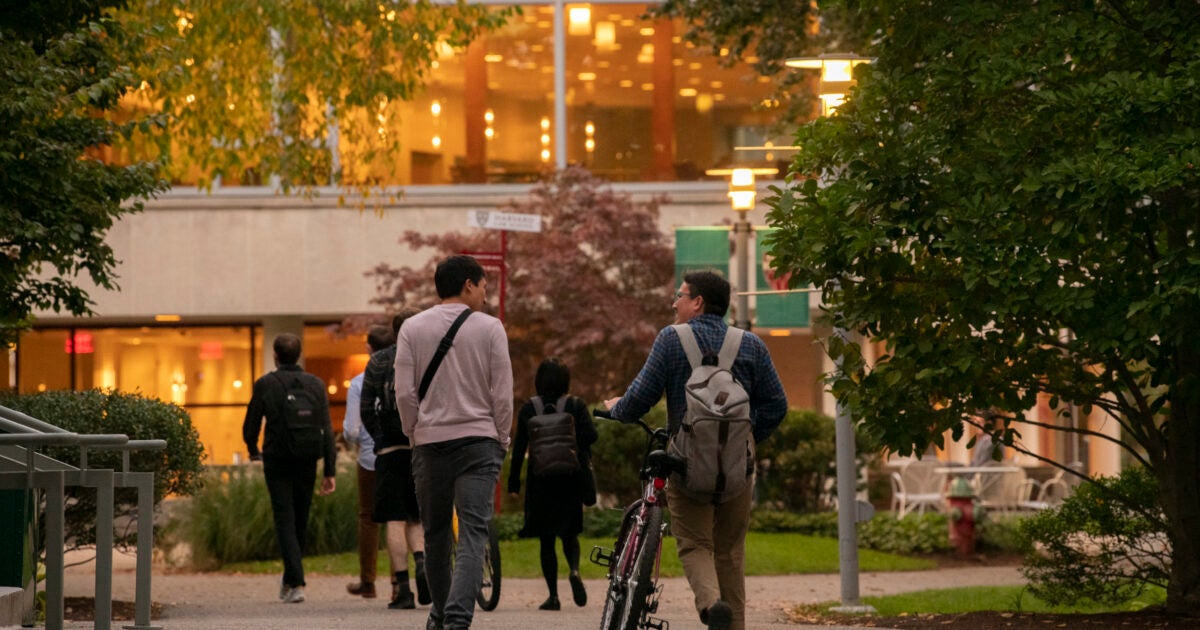Transfer Application Components - Harvard Law School | Harvard Law School