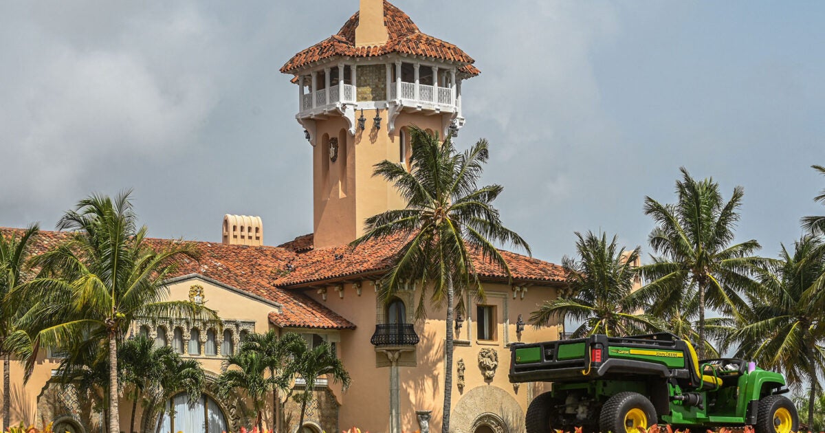 Florida blues - Harvard Law School | Harvard Law School