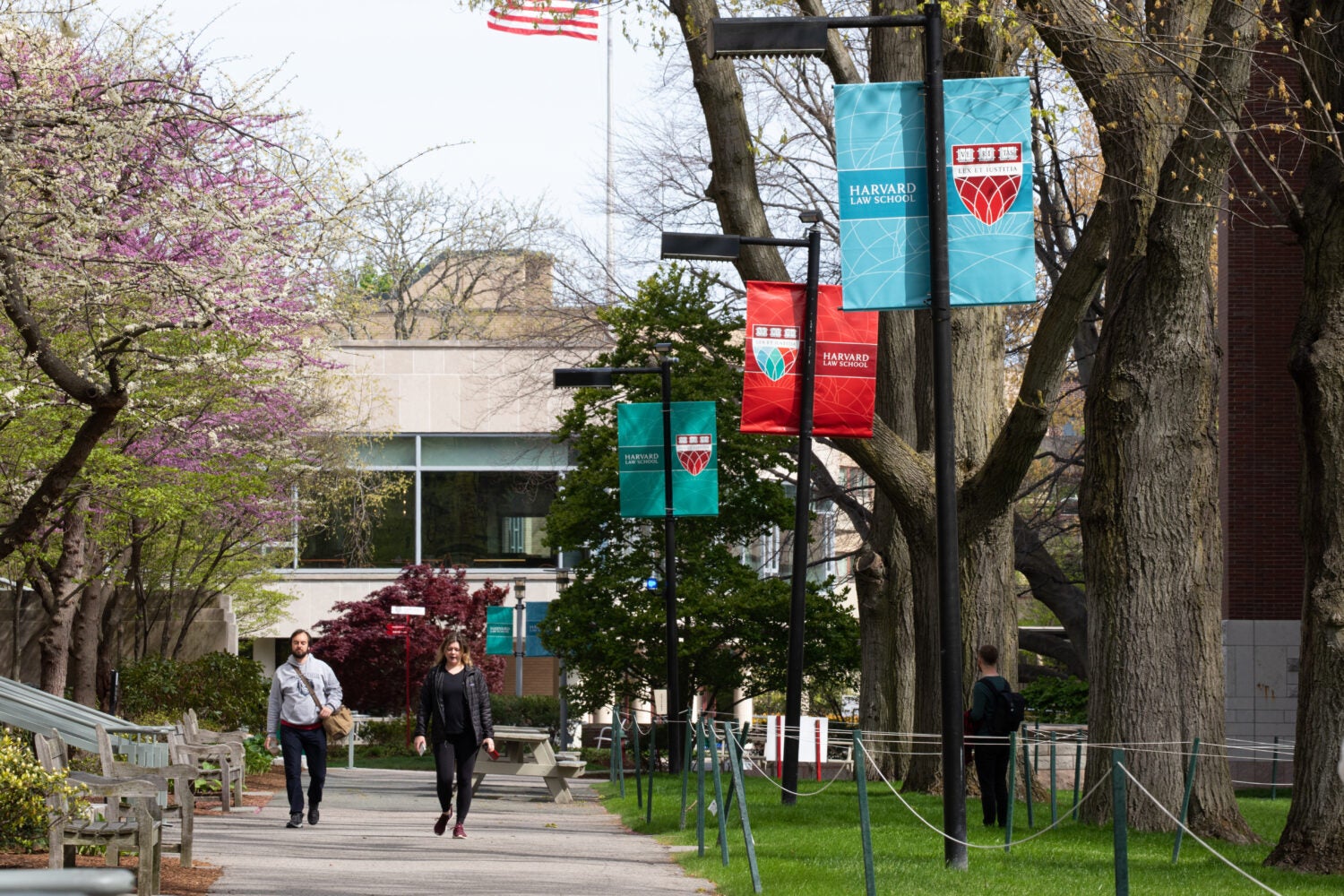 For Employers Harvard Law School Harvard Law School