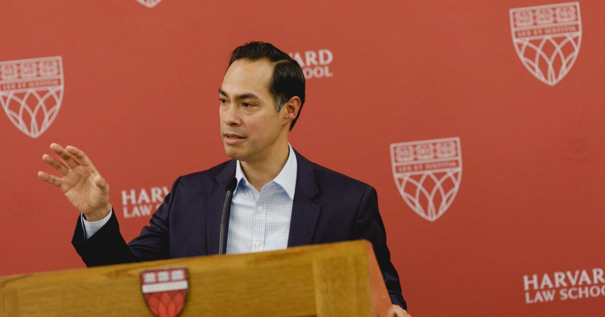 A tale of two cities - Harvard Law School | Harvard Law School