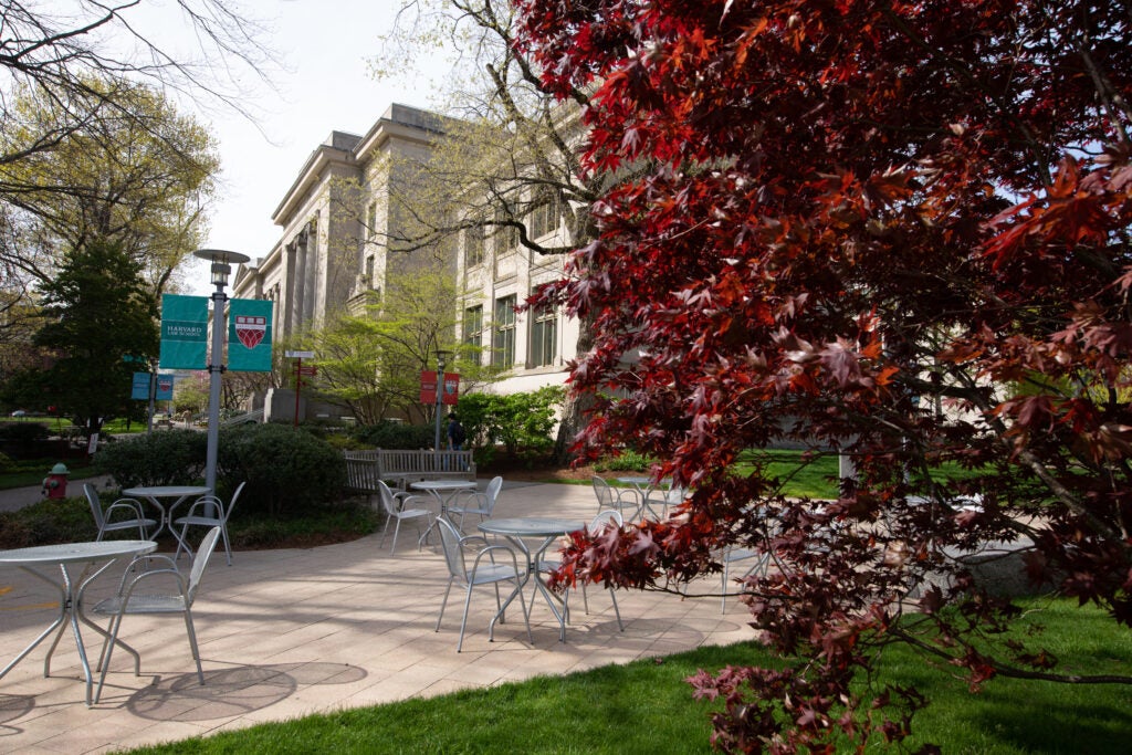 Application Toolkit: Interview - Harvard Law School | Harvard Law School