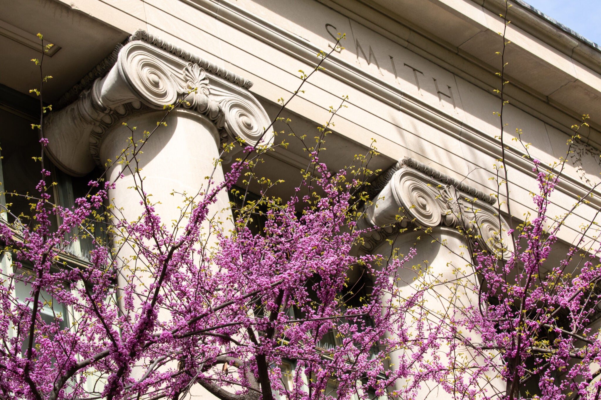 Application Toolkit: Additional Guidance - Harvard Law School | Harvard ...