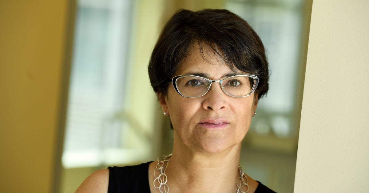 Belinda Sutton Distinguished Lecture - Harvard Law School | Harvard Law ...