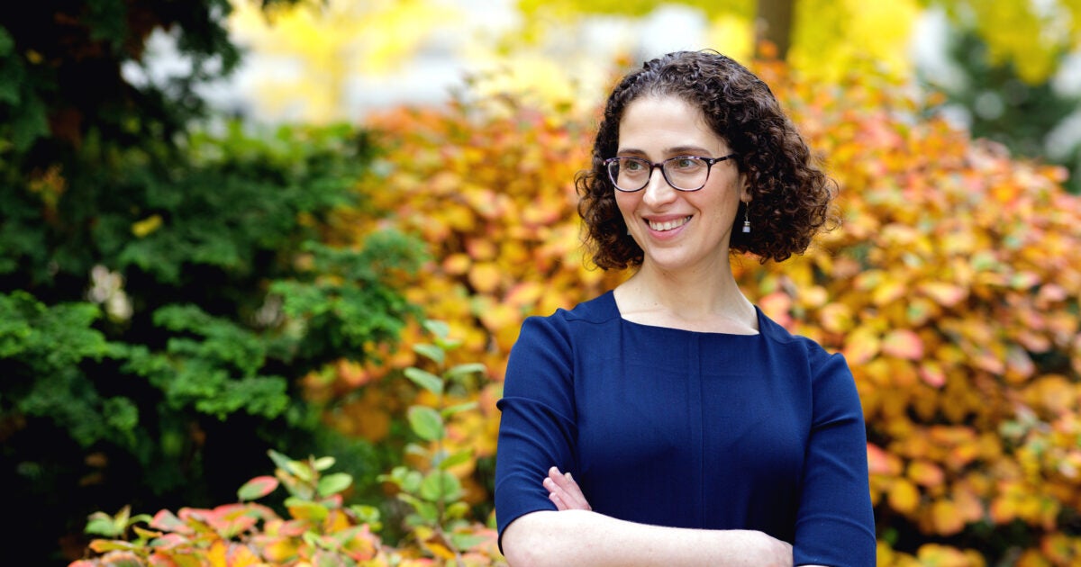 'A sense of responsibility' in state government lawyering - Harvard Law ...