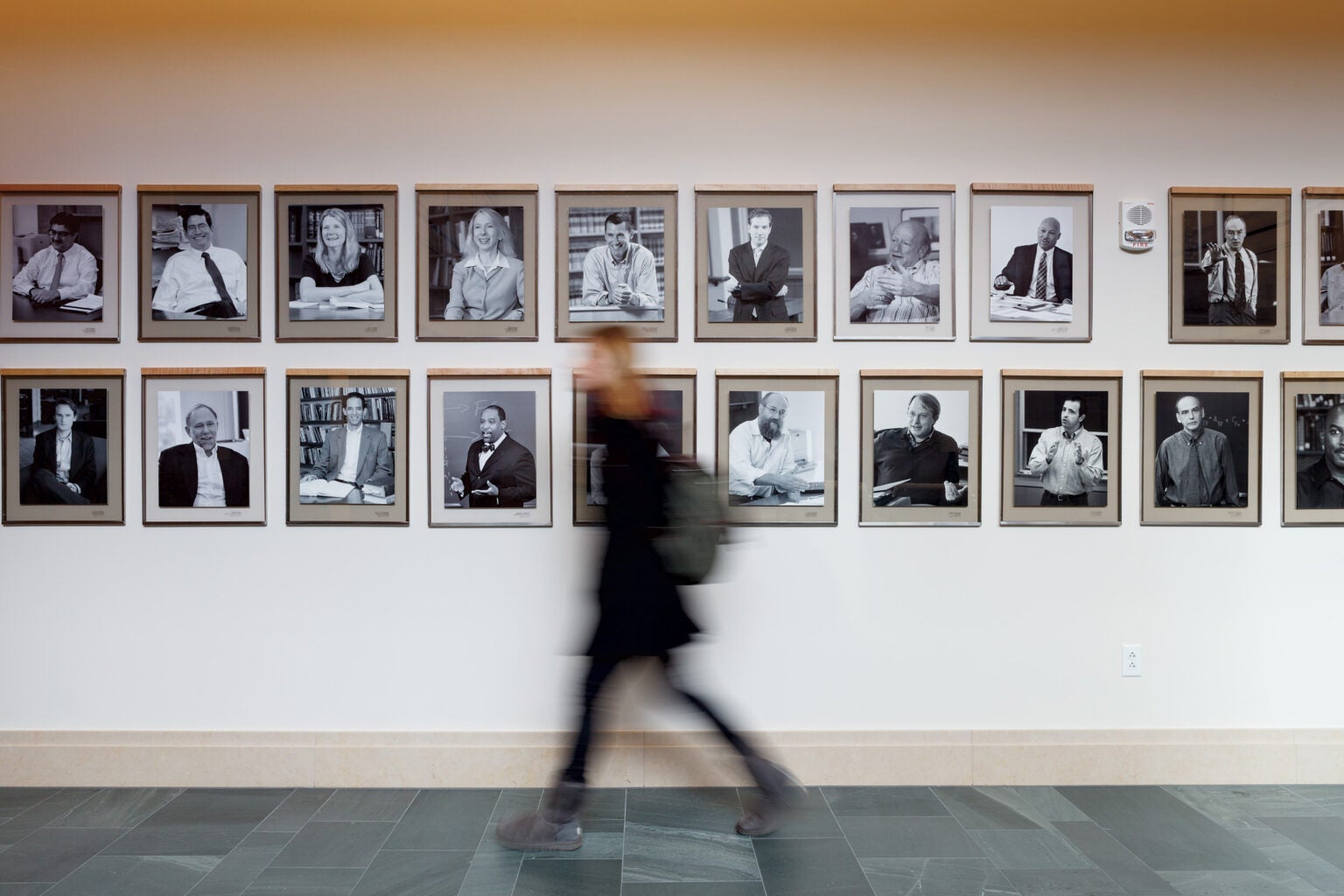 Faculty Wall - Harvard Law School | Harvard Law School