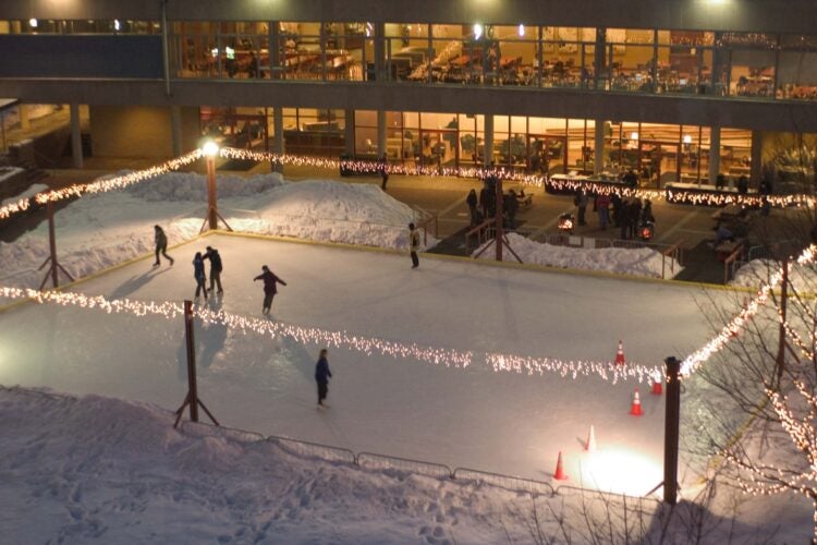 Home - Harvard Law School | Harvard Law School