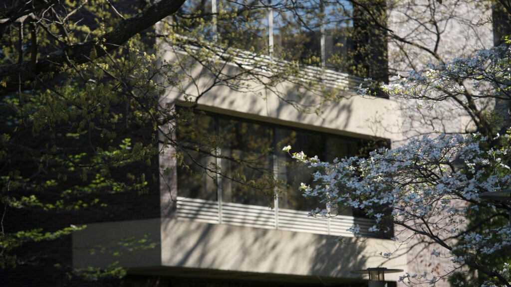 HLS Self-Guided Tour - Harvard Law School | Harvard Law School