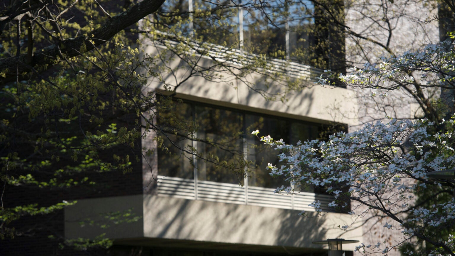 HLS Self-Guided Tour - Harvard Law School | Harvard Law School