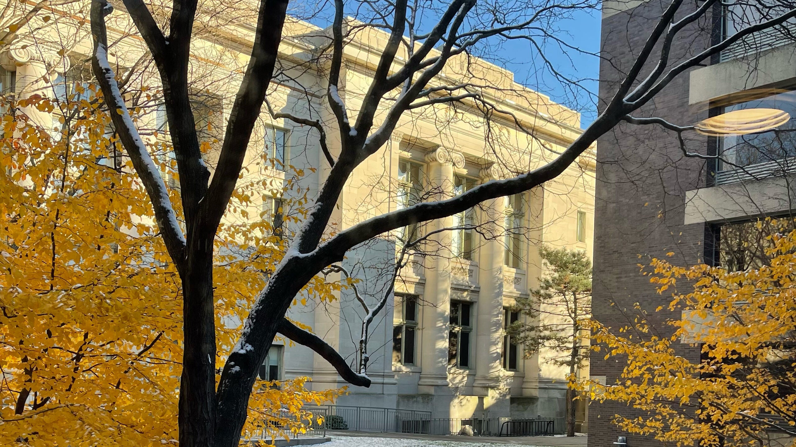 Zoom Background Images Harvard Law School Harvard Law School Zoom Background Images Harvard Law School Harvard Law School