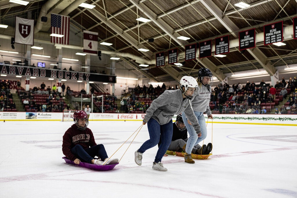 Staff Community Events - Harvard Law School | Harvard Law School