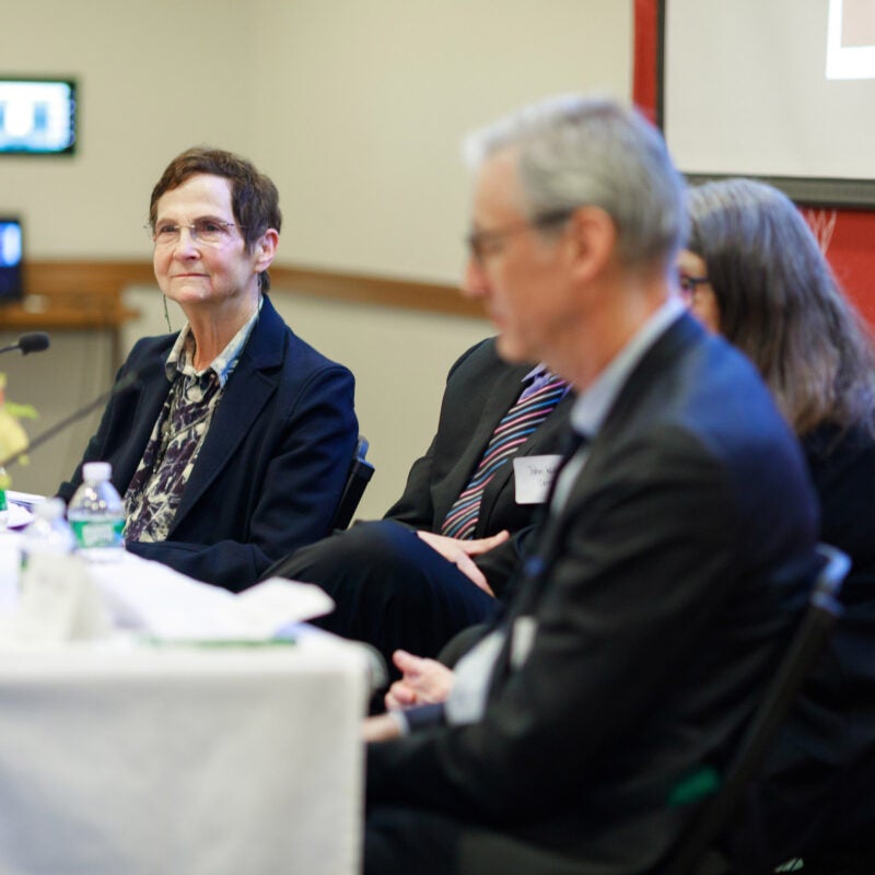 Human Rights - Harvard Law School | Harvard Law School