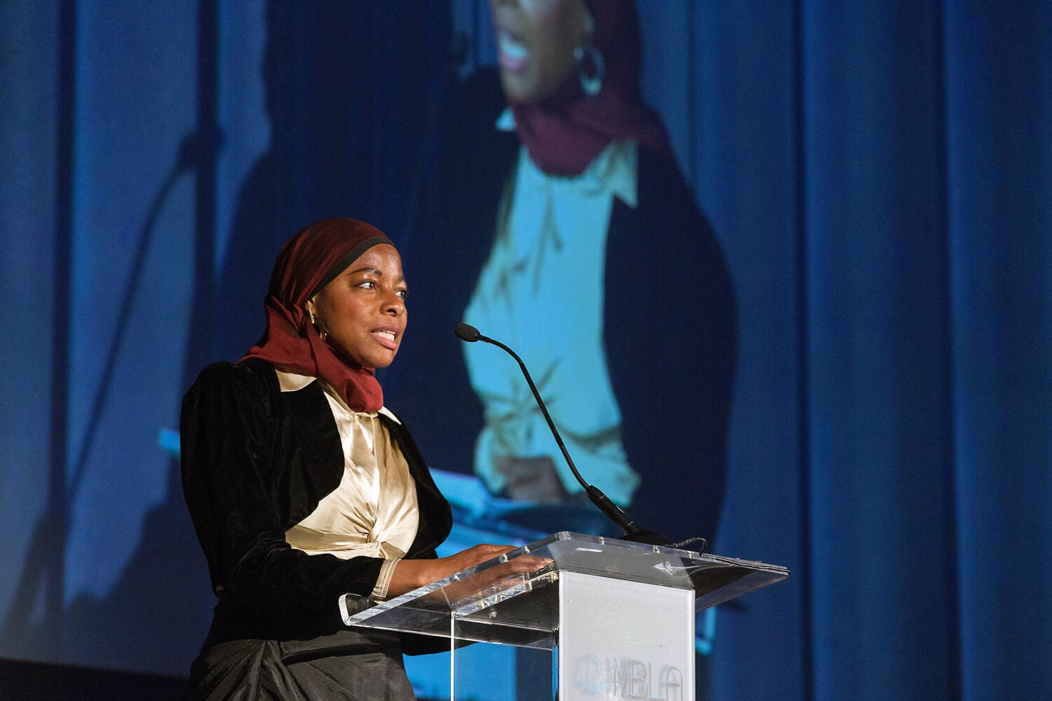 Professor Intisar Rabb, HLS alums awarded Trailblazer Awards by ...