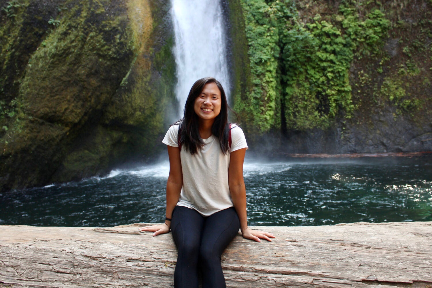 Meet the new class - Harvard Law School | Harvard Law School