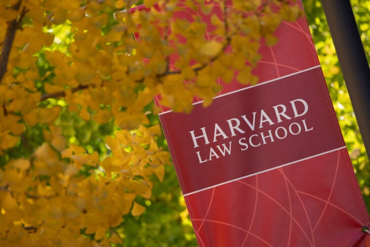 Fall 2024 Semester Move-In Information - Harvard Law School | Harvard ...