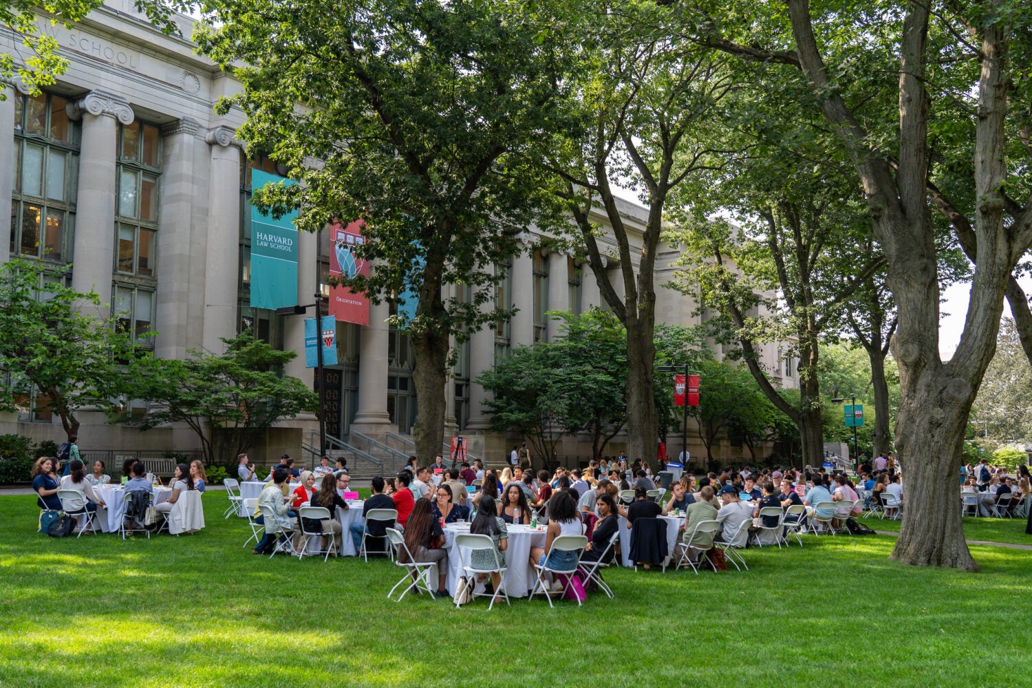 World Class: November 2023 - Harvard Law School | Harvard Law School