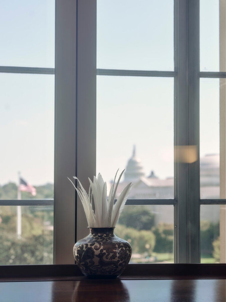 Supreme Advocate - Harvard Law School | Harvard Law School