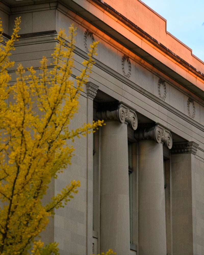 Future Leaders in Law Program - Harvard Law School | Harvard Law School