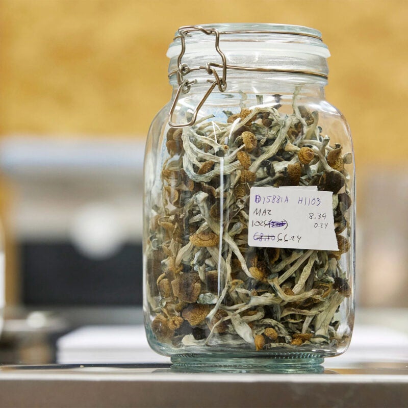 Alvin Powell Archives - Harvard Law School | Harvard Law School