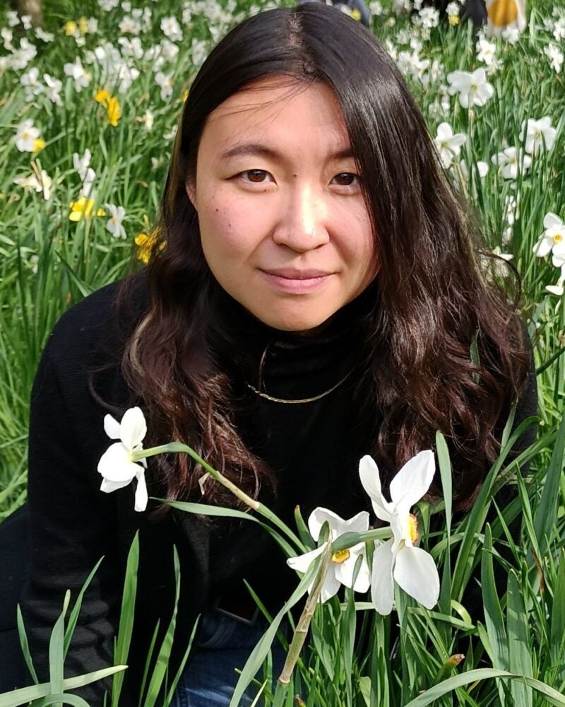 Cyberlaw Clinic - Harvard Law School | Harvard Law School