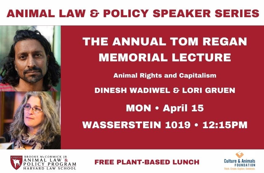 Signage - Harvard Law Today