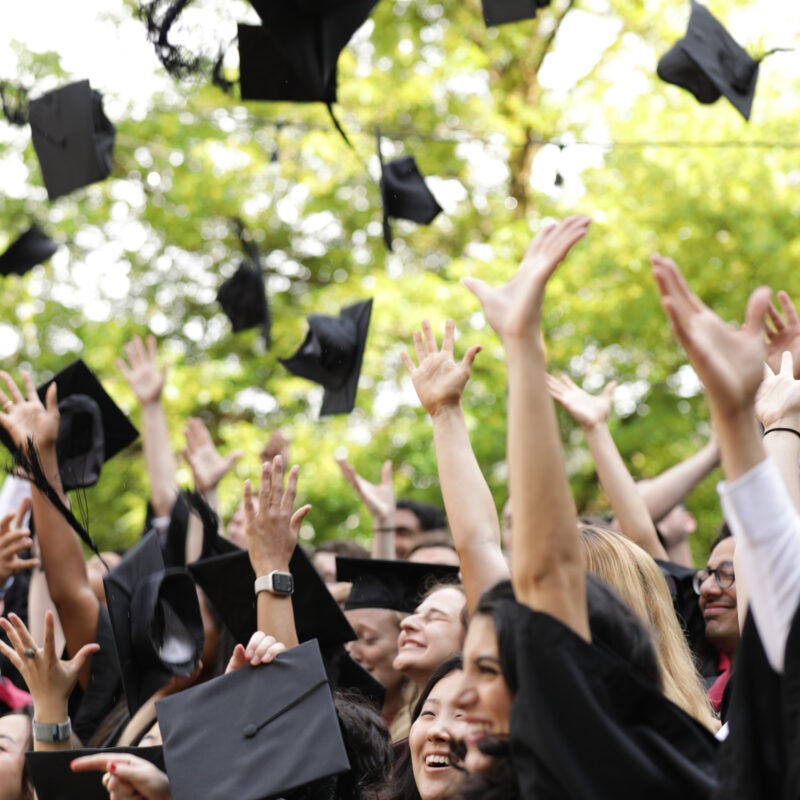 Signage - Harvard Law Today