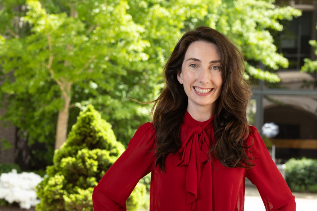 World Class: July 2024 - Harvard Law School | Harvard Law School