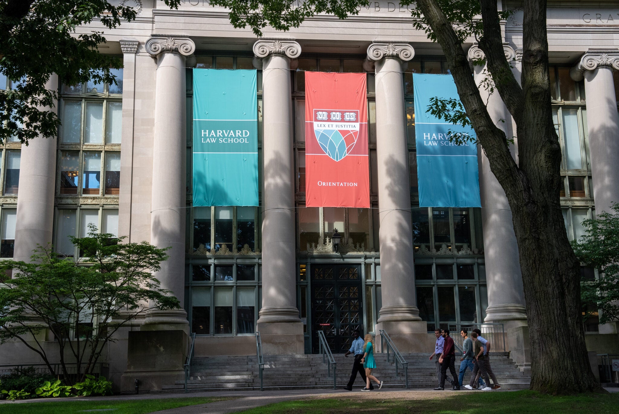 HLS 1L Profile and Facts - Harvard Law School | Harvard Law School