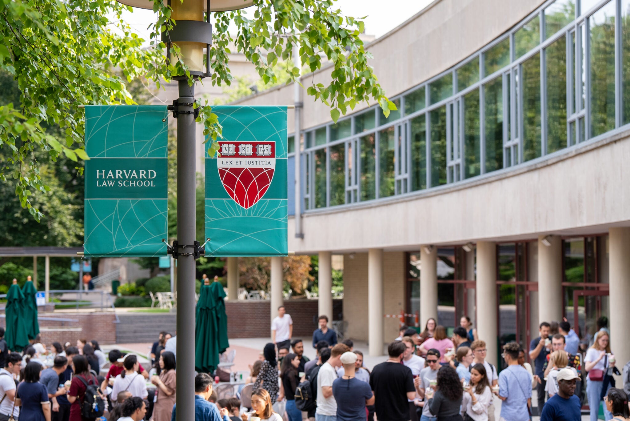 HLS 1L Profile and Facts - Harvard Law School | Harvard Law School