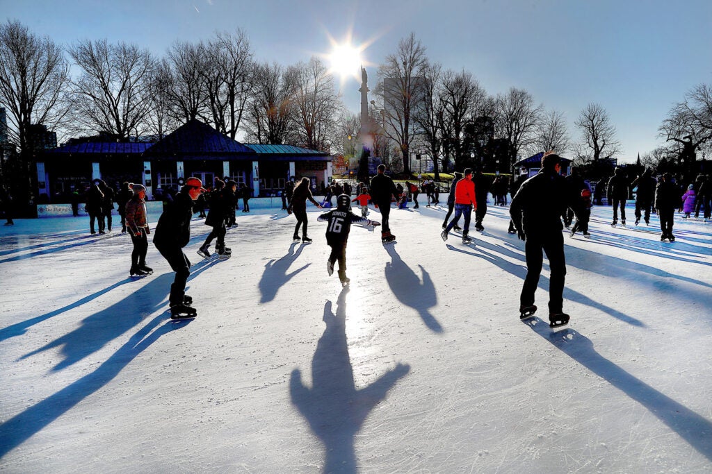 A plan for all seasons - Harvard Law School | Harvard Law School