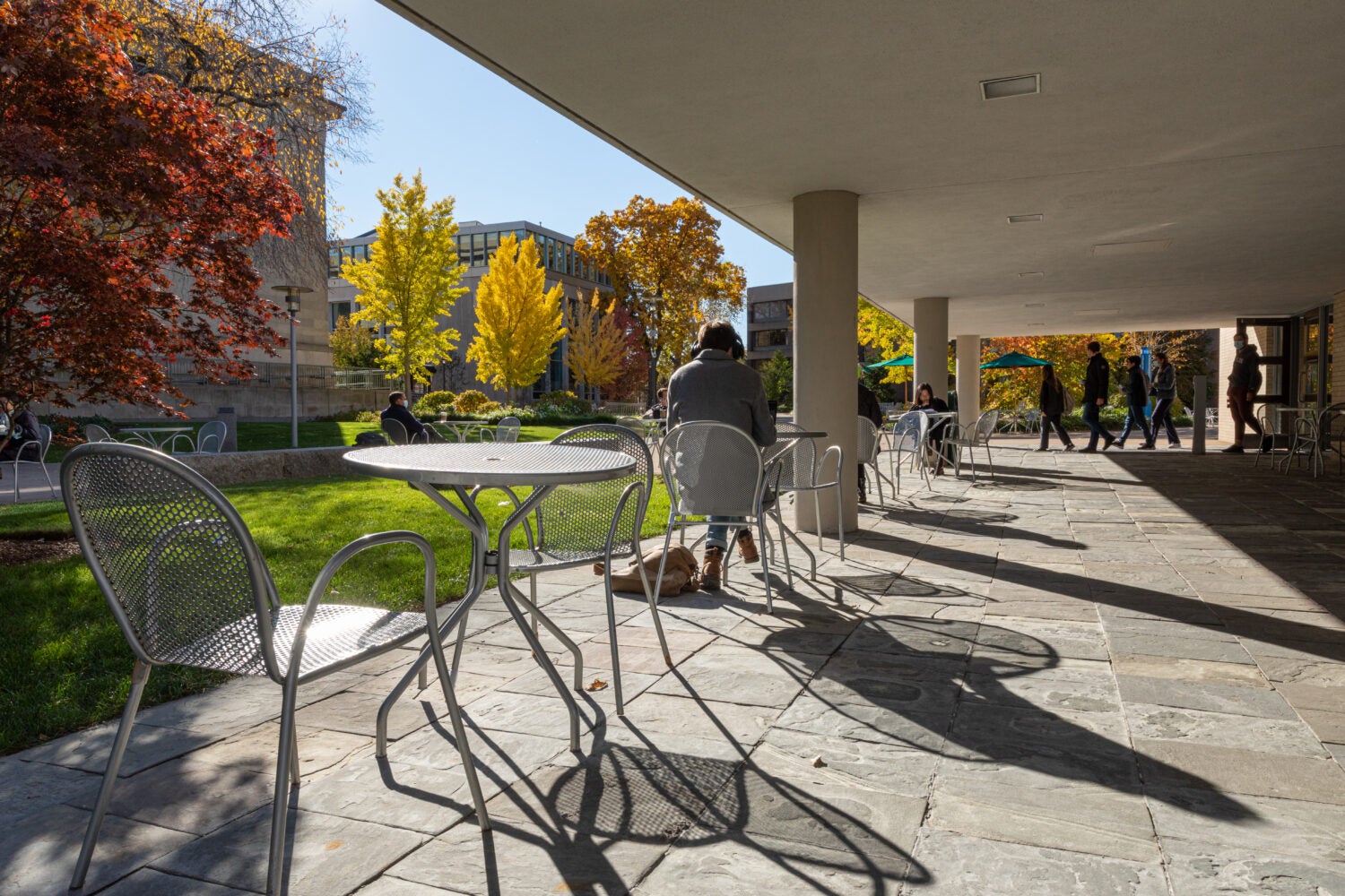 Written Statements: Reflections on Year One - Harvard Law School ...