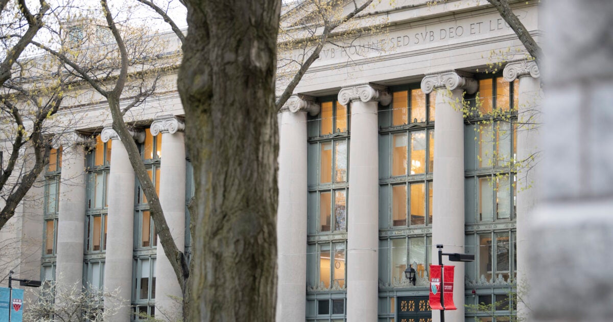 December 2024 Service Milestones - Harvard Law School | Harvard Law School