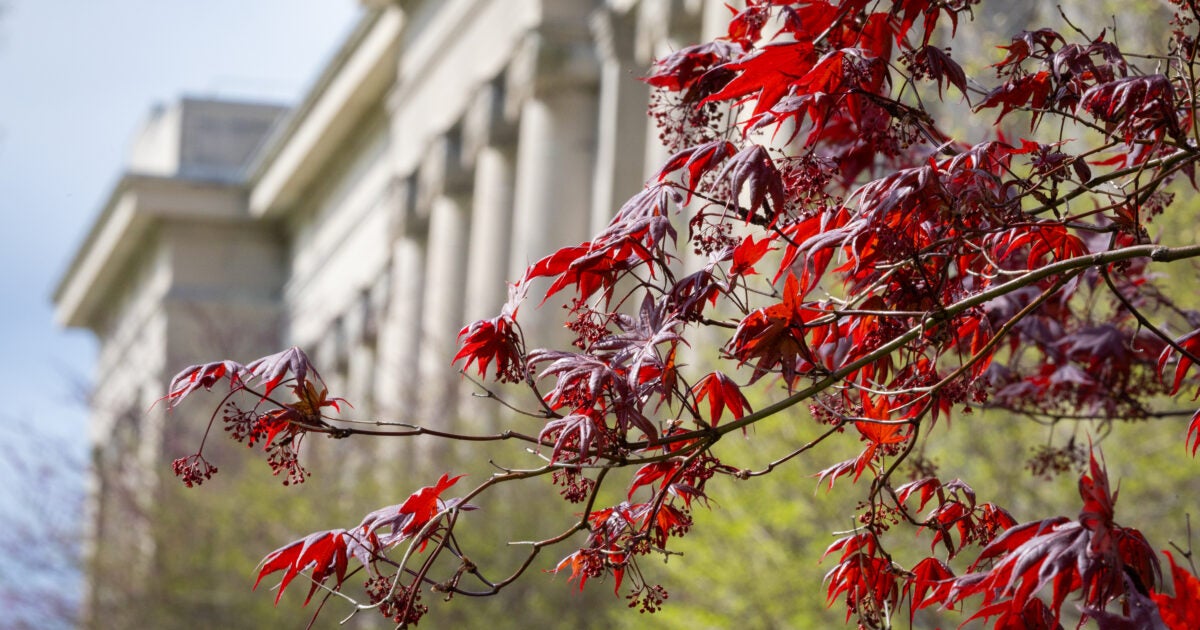 Profiles of the Class of 2023 - Harvard Law School | Harvard Law School