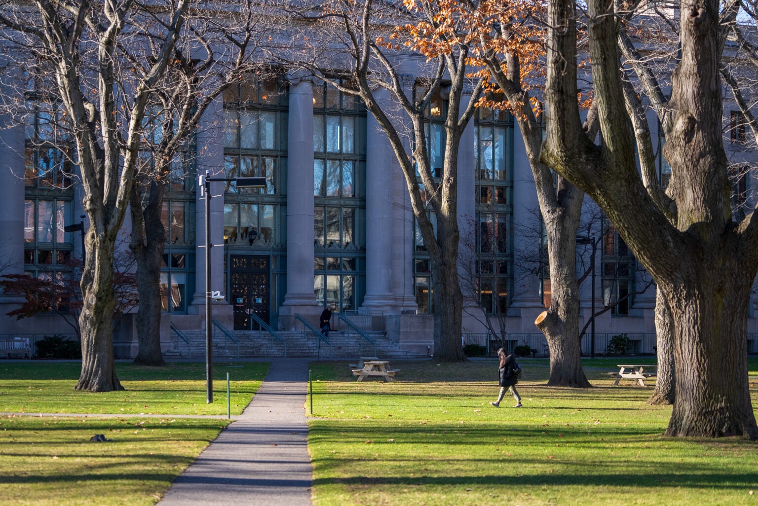 Home - Harvard Law School | Harvard Law School