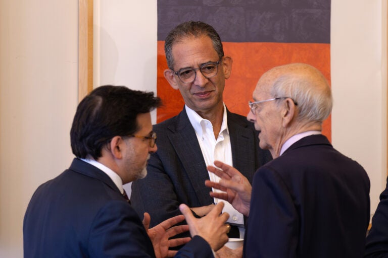 The challenge to the judiciary from a rising executive branch - Harvard ...