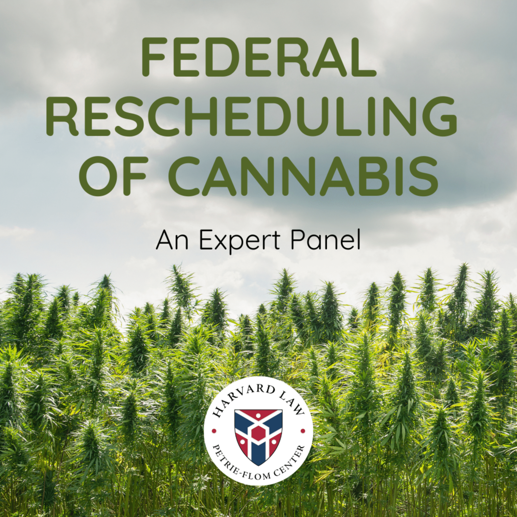 Federal Rescheduling of Cannabis: An Expert Panel - Harvard Law School ...