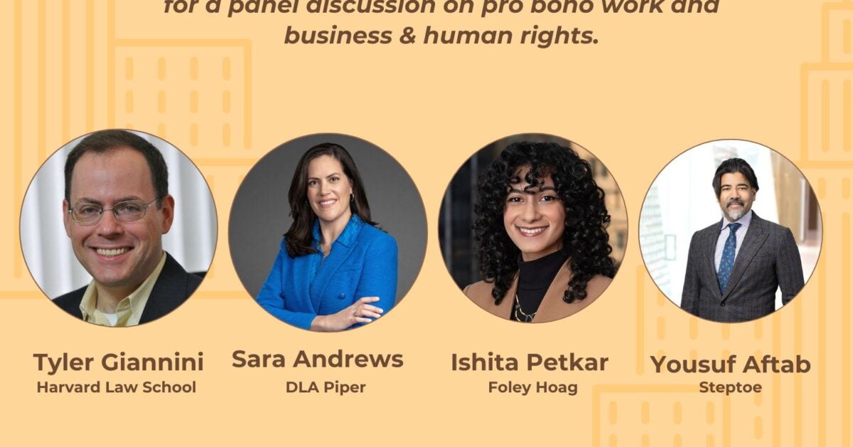 Building a Legal Career Across Business & Human Rights, and Pro Bono ...