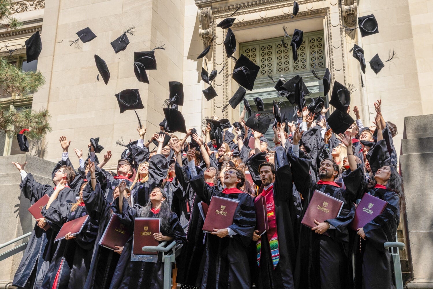 Home - Harvard Law School | Harvard Law School